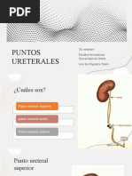 Incisión Rocky Davis | PDF | Medicina CLINICA | Anatomía