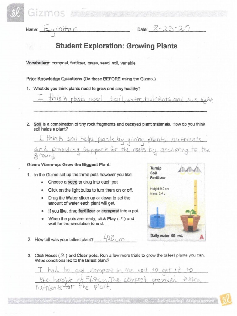 Gizmos Plant Experiment | PDF