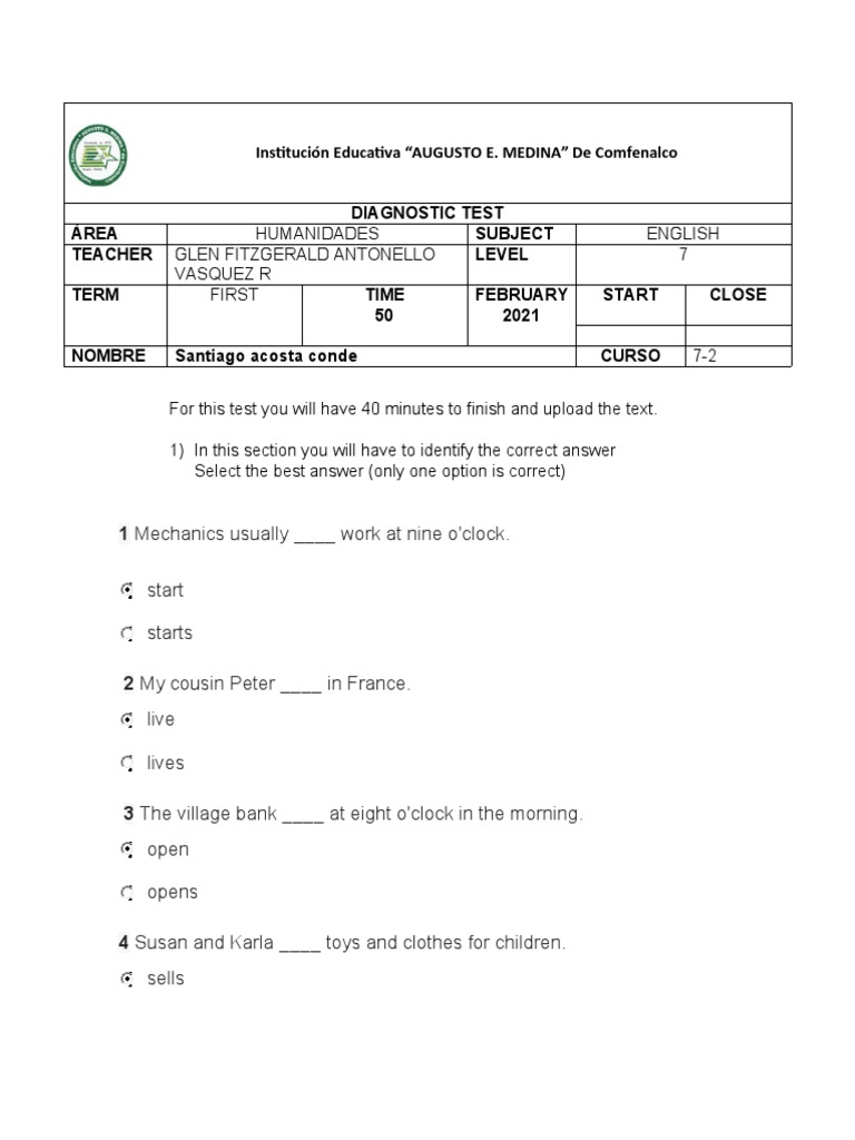 7th Grade English Diagnostic Test | PDF