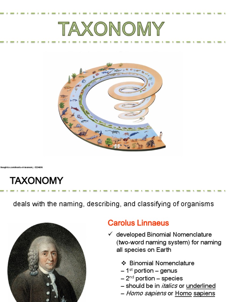 Taxonomy | PDF | Primary Production | Ecosystem