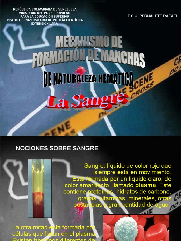 Presentación de Manchas de Sangre | PDF | Ciencia forense | Sangre