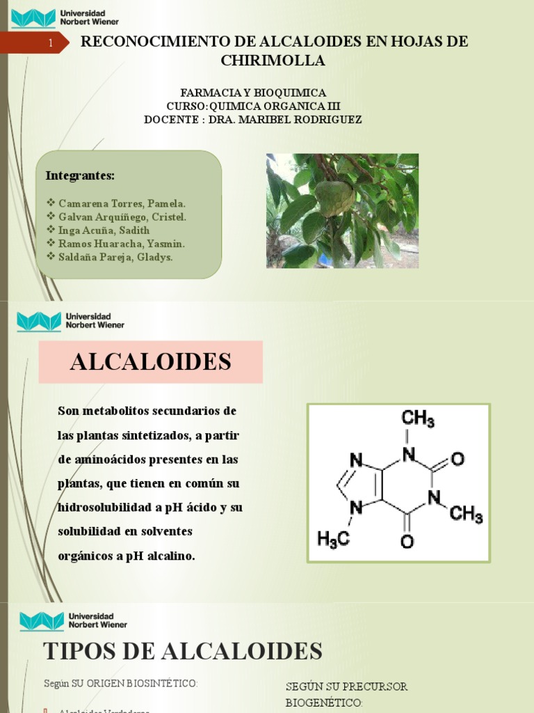 ALCALOIDES | PDF | Alcaloide | Productos naturales