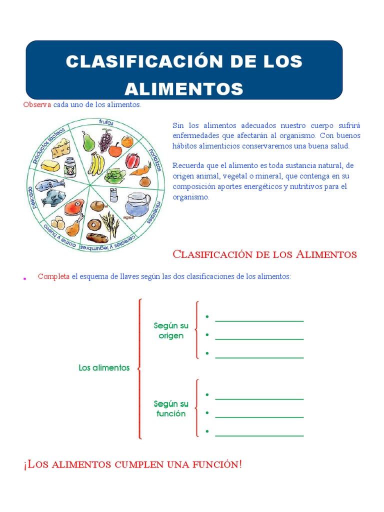 Clasificación de Alimentos por Función | PDF | Leche | Alimentos