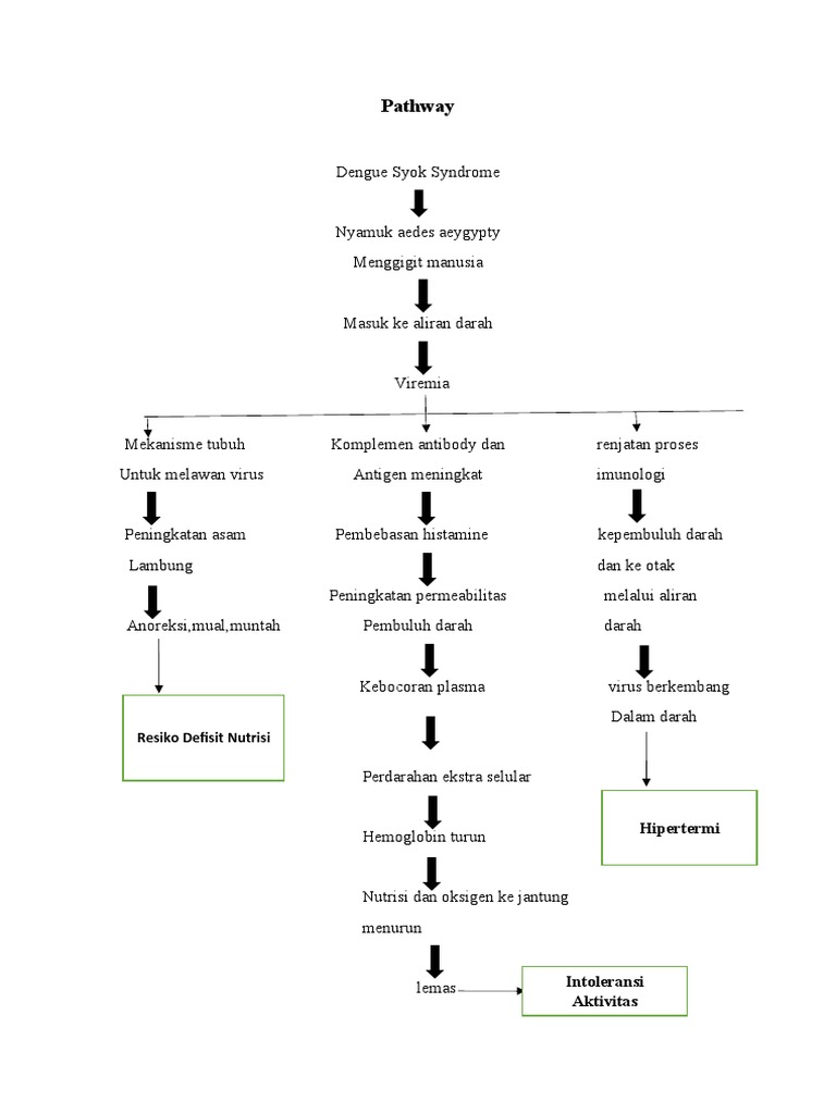 Mekanisme Penyakit Dengue Syok Syndrome | PDF