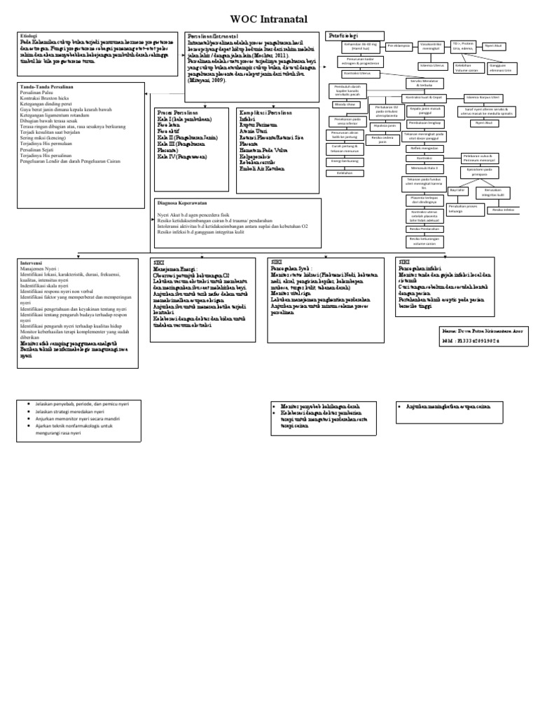 WOC Intranatal | PDF