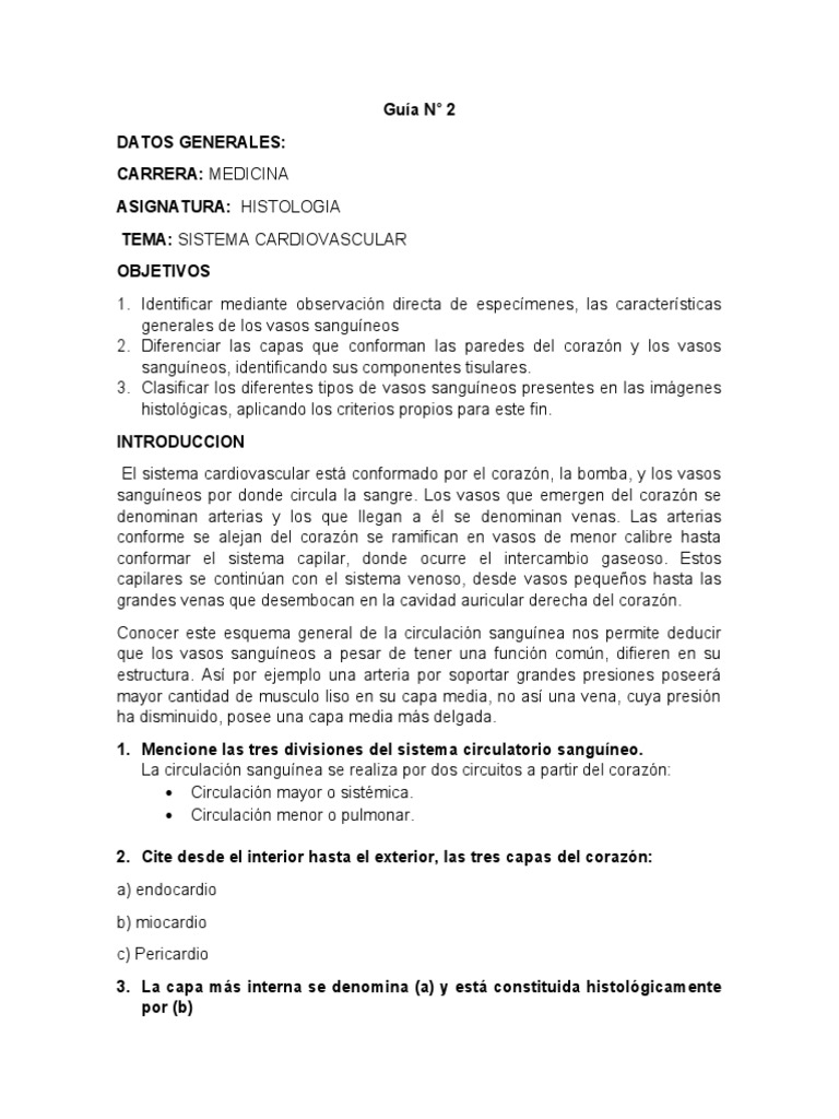 Guia Cardiovascular | PDF | Corazón | Sistema circulatorio