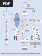 Mapa Conceptual CONAMED | PDF | Derecho