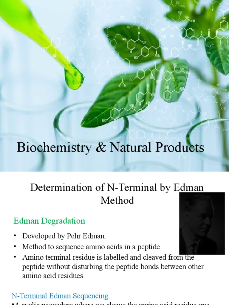 Biochemistry & Natural Products | PDF | Macromolecules | Protein Structure
