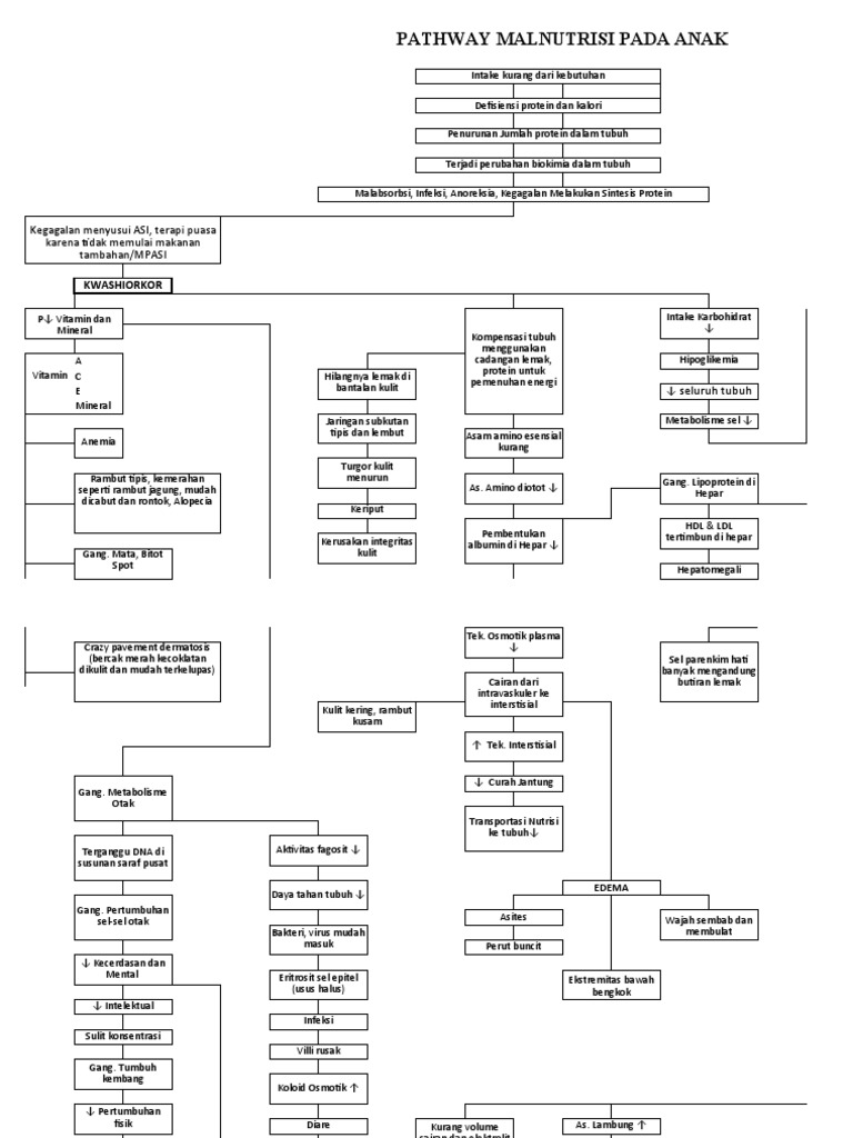 Pathway Kwashiorkor | PDF