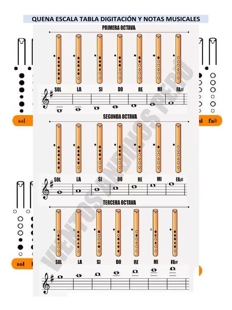 Quena Escala Tabla Digitación y Notas Musicales | PDF