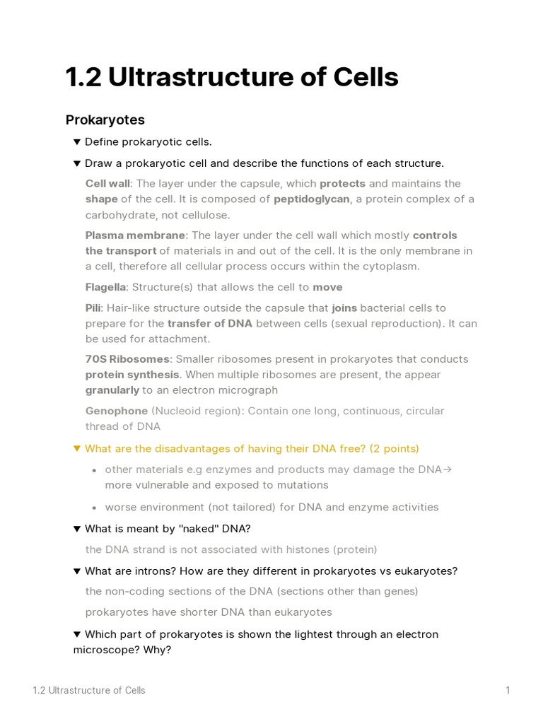 1.2 Ultrastructure of Cells: Prokaryotes | PDF | Endoplasmic Reticulum ...