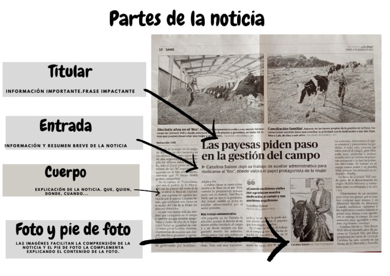 Partes de La Noticia | PDF