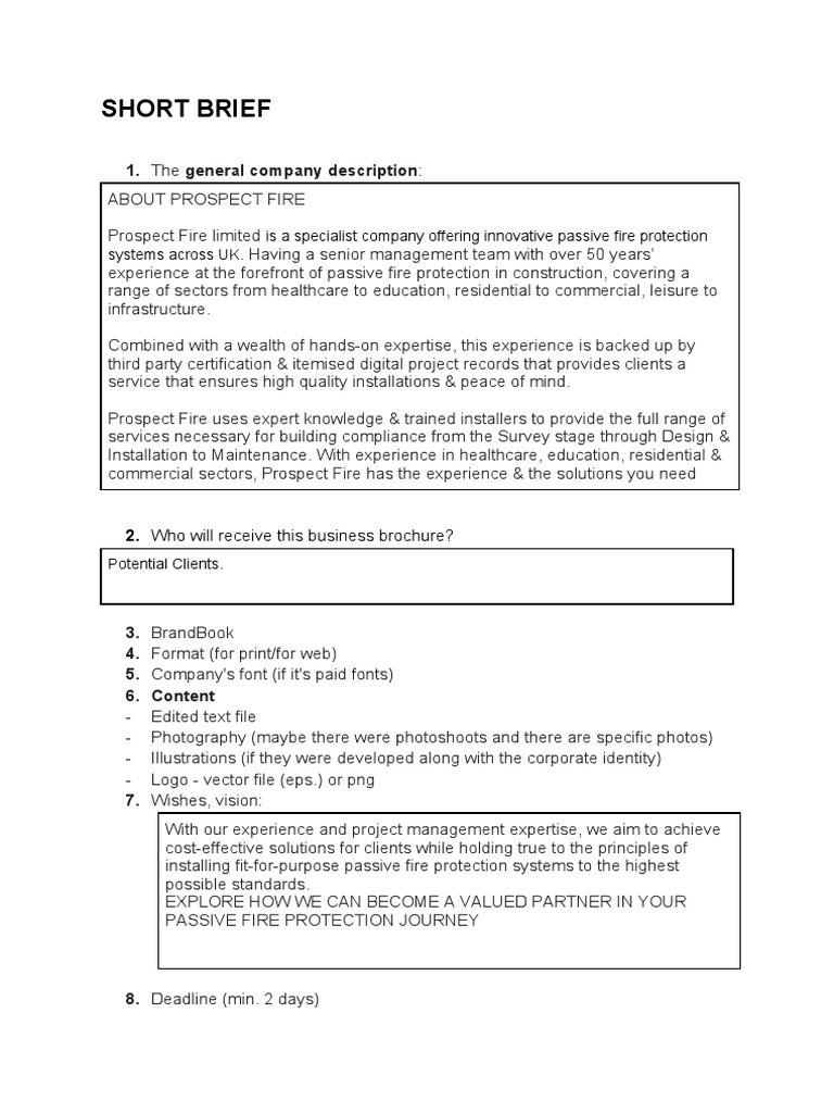 Short Brief: 1. The General Company Description | PDF
