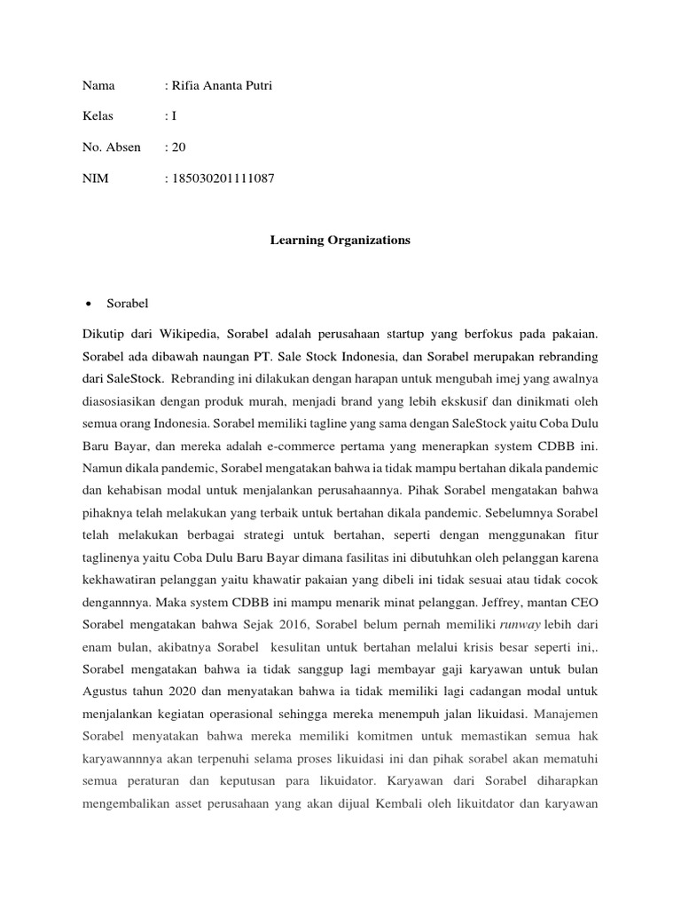 Rifia Ananta Putri - Learning Organizations | PDF