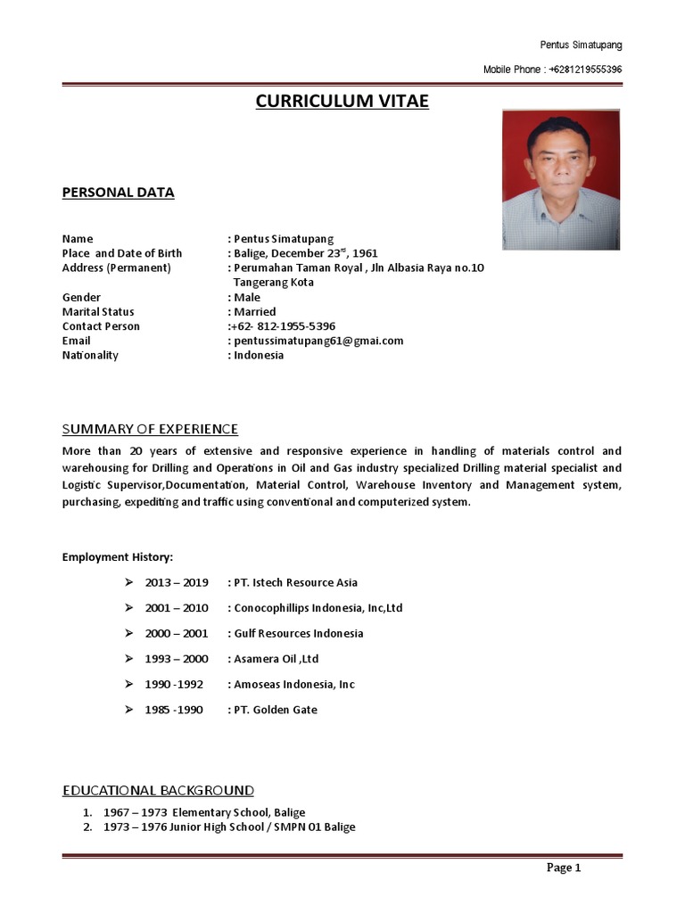 Oil & Gas Logistics Expert CV | PDF | Warehouse | Logistics