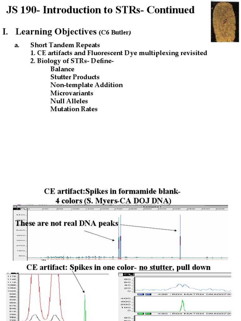 STR Powerpoint 2 | PDF | Microsatellite | Polymerase Chain Reaction