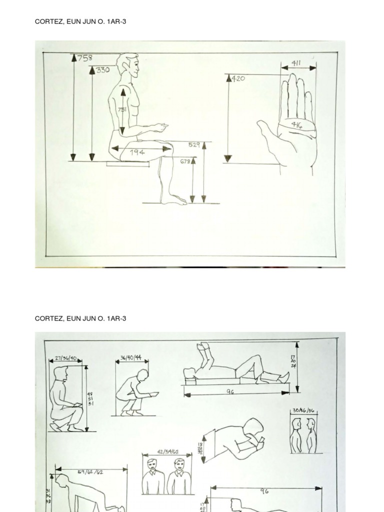 Anthropometrics Design | PDF