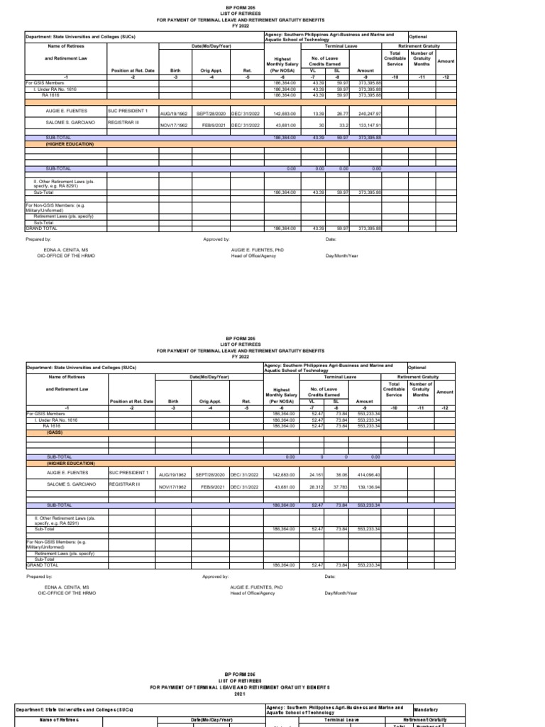 2022 BP Form 205 (Mandatory and Optional) - DSSC-2 | PDF | Old Age ...