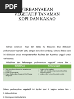 Fase Pertumbuhan Tanaman: Vegetatif & Generatif | PDF
