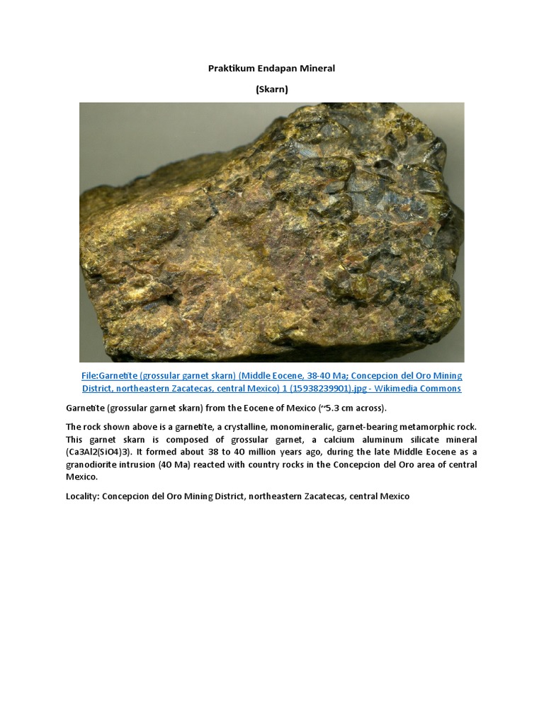 Garnet-Pyroxene Skarn from Mexico | PDF | Geology | Minerals