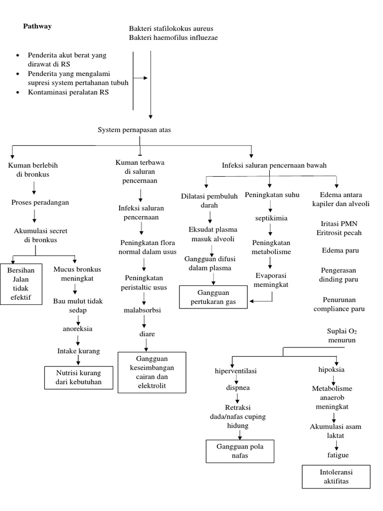 Pathway Bronkopneumonia pada Anak | PDF