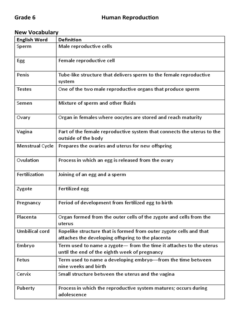 Grade 6 Human Reproduction New Vocabulary: English Word | PDF ...