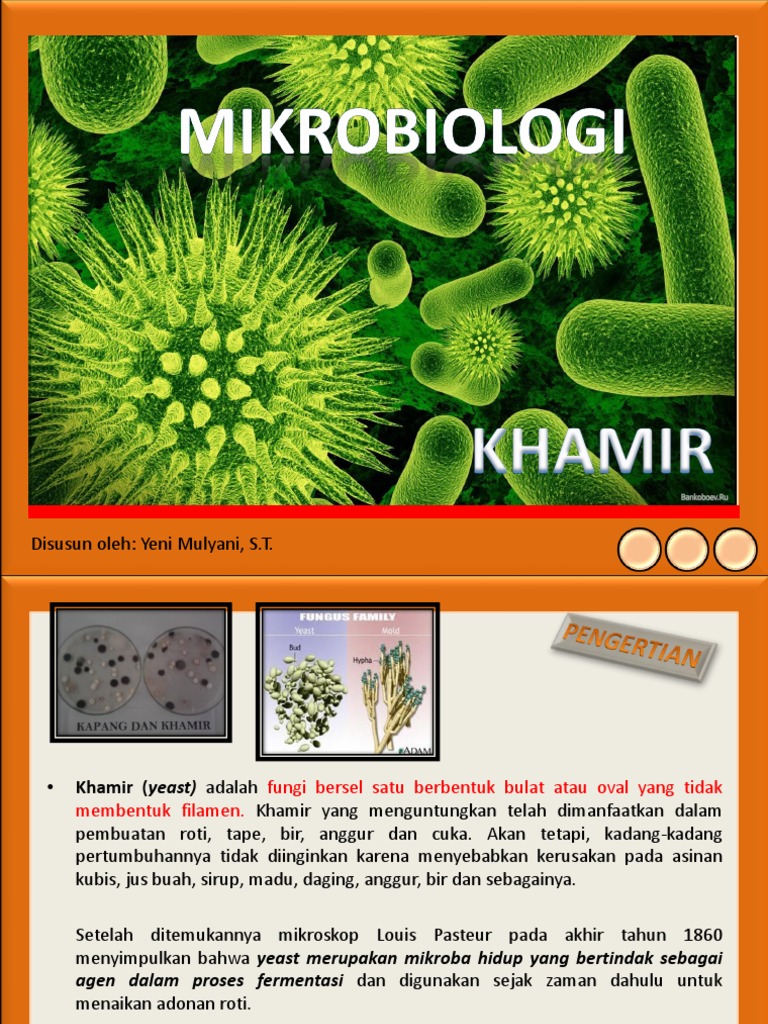 Perbedaan dan Manfaat Kapang dan Khamir | PDF