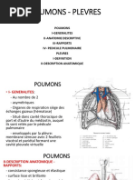 Anatomie des poumons et plèvres humaines | PDF | Poumon | Anatomie