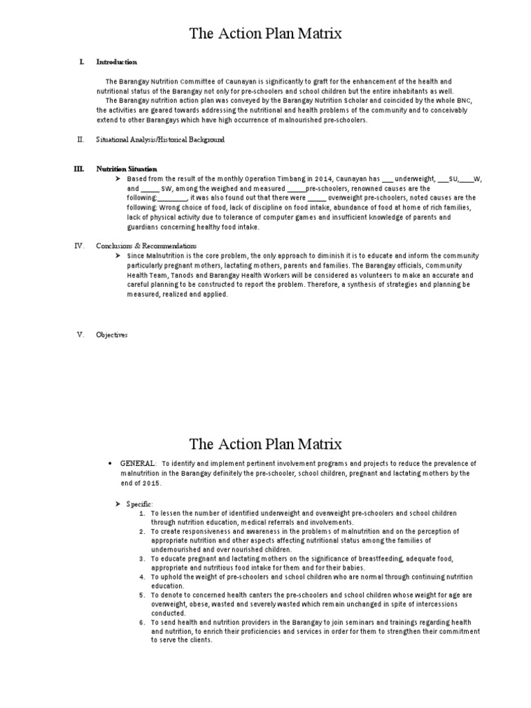Brgy Nutrition Action Plan | PDF | Malnutrition | Obesity