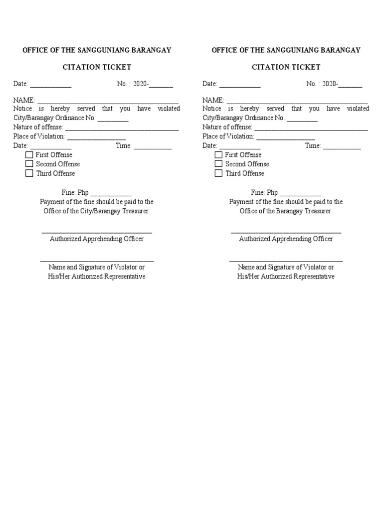 Barangay Citation Ticket | PDF