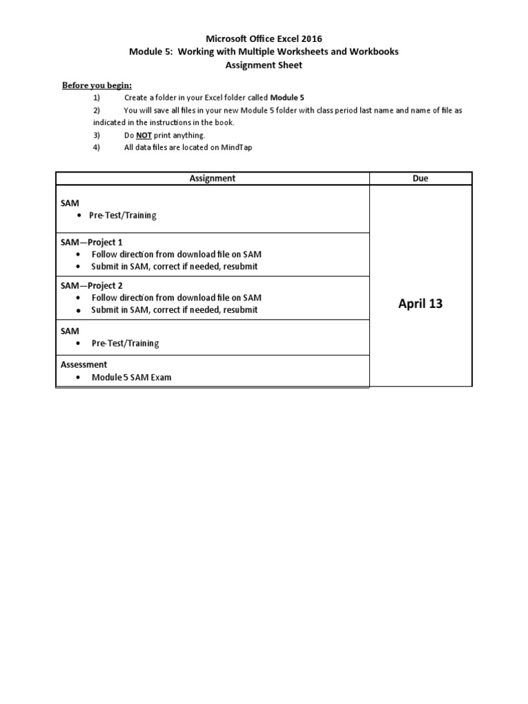 Excel Module 5 Assignment Sheet | PDF