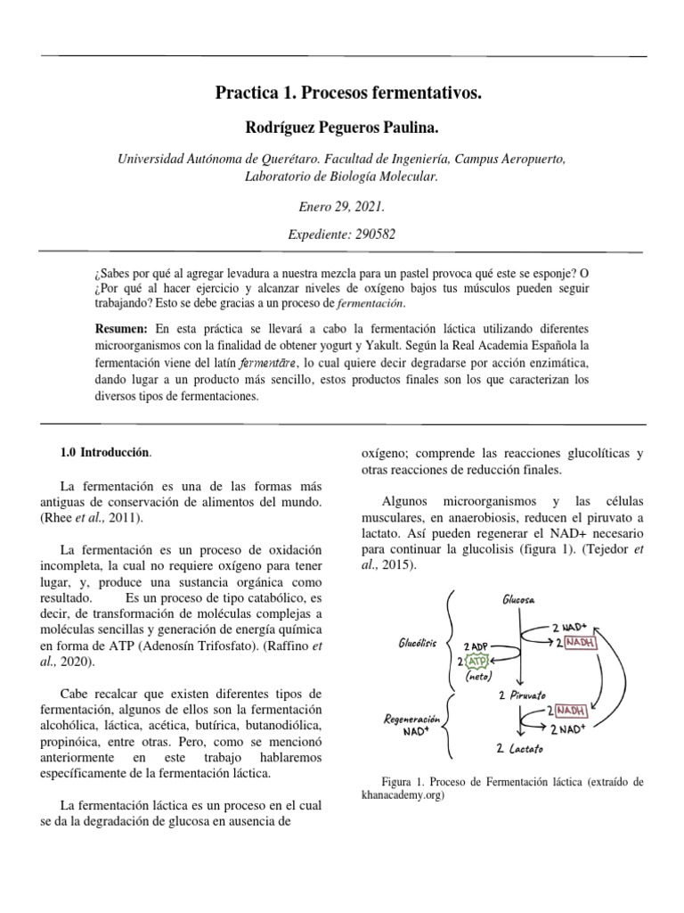 Practica 1. Procesos Fermentativos | PDF | Yogur | Fermentación