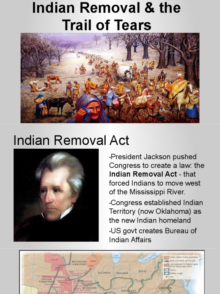 Indian Removal | PDF | Cherokee | Trail Of Tears