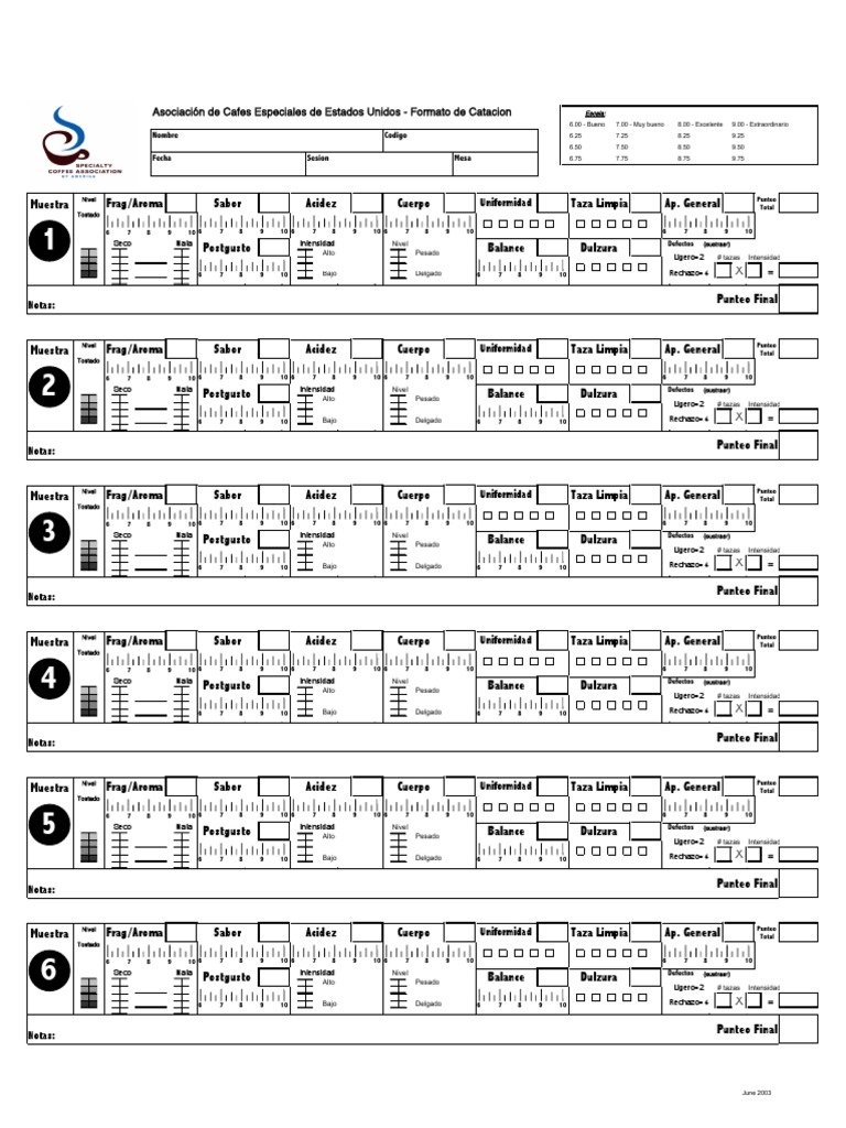 FRM - SCAA Cupping Form 6 Samples Espanol | PDF