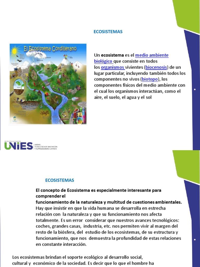 ECOSISTEMAS | PDF | Ecosistema | Entorno natural