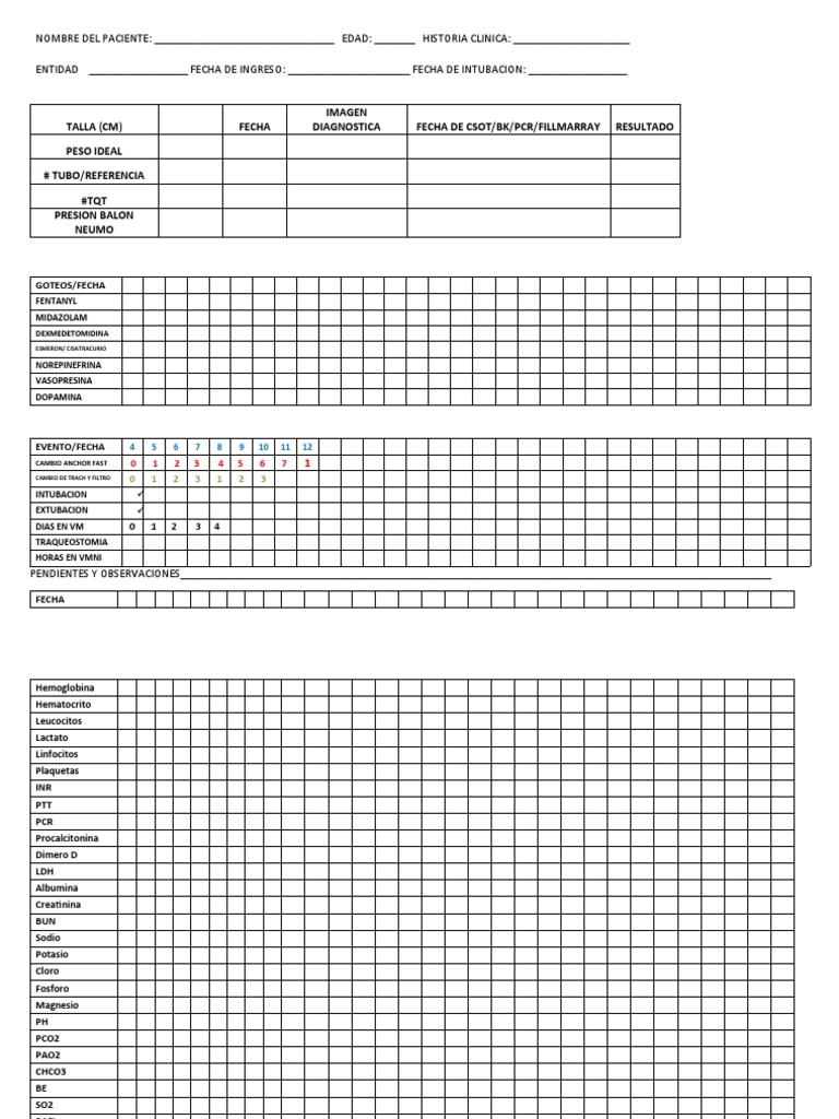 Hoja de Pacientes Uci | PDF | Sangre | Medicina CLINICA