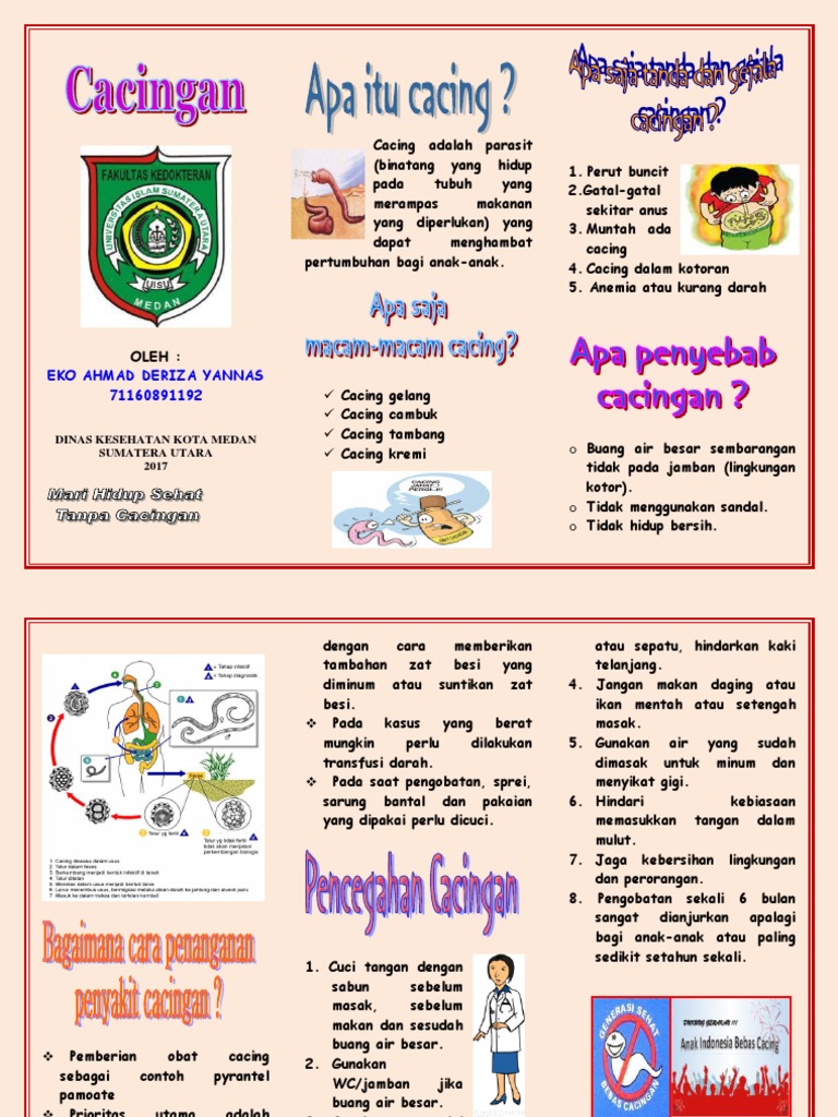 Leaflet Pengobatan Cacingan Anak | PDF