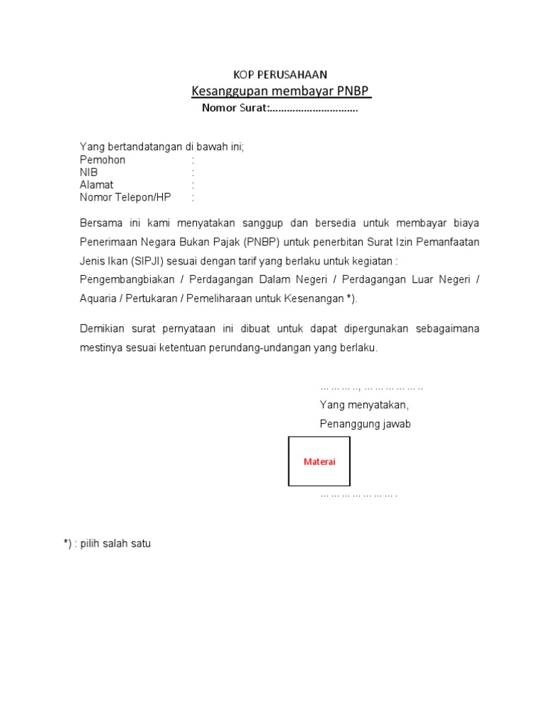 Surat Pernyataan Kesanggupan PNBP | PDF