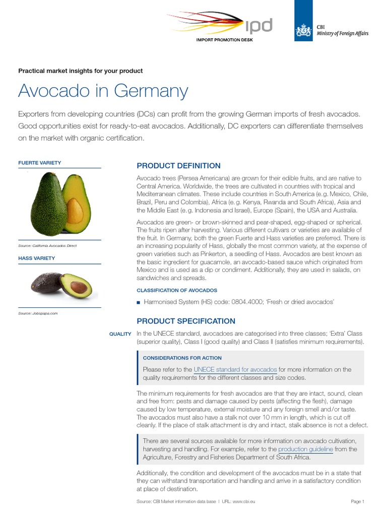 Avocado in Germany: Product Definition | Download Free PDF | Food ...