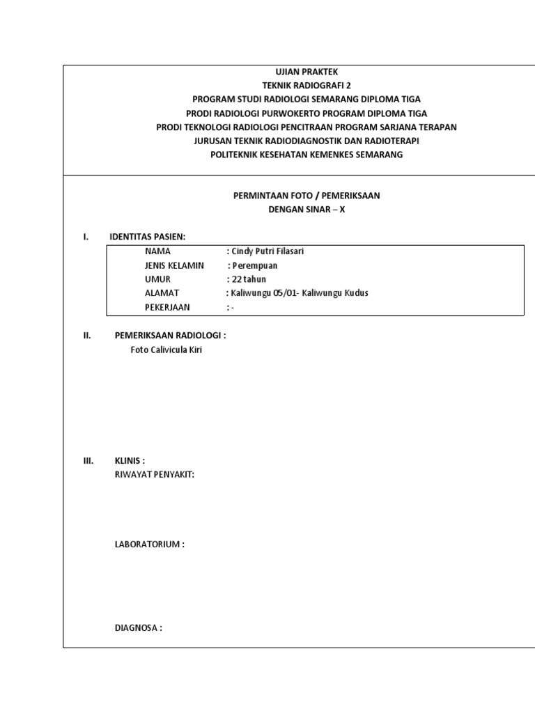 Format Laporan Ujian Praktek | PDF