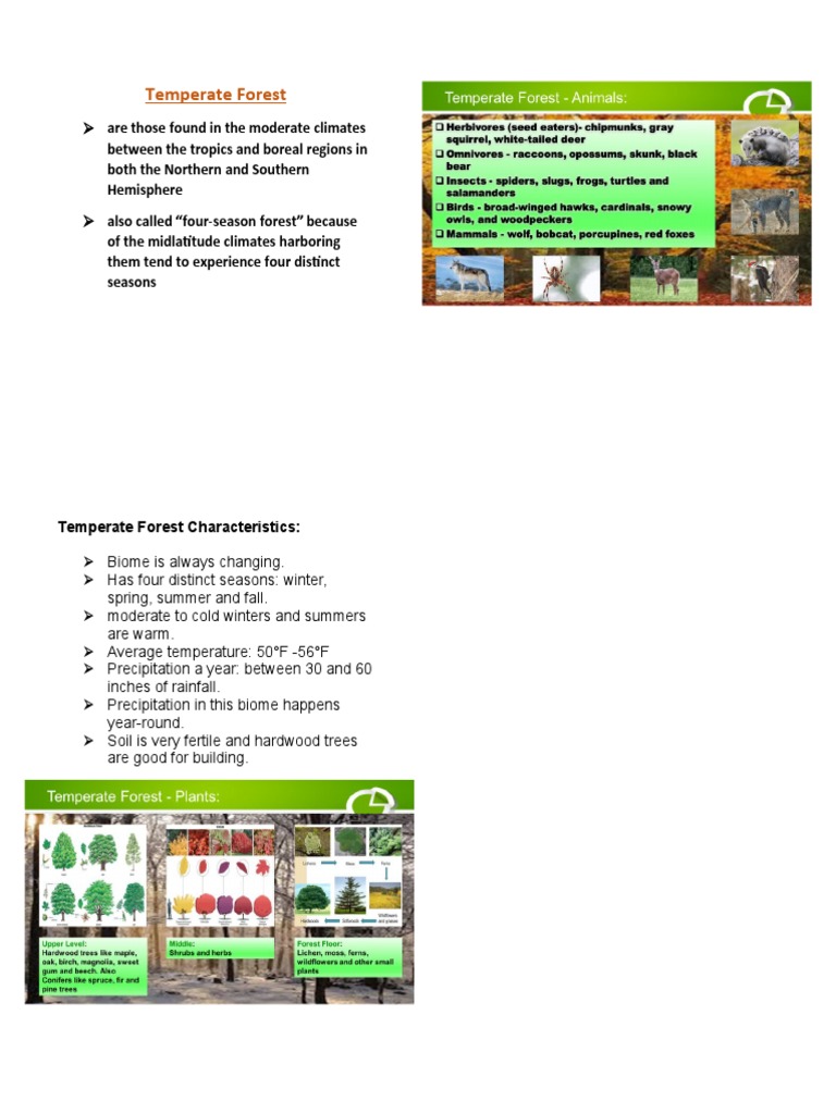 Biomes - Temperate Forest | PDF