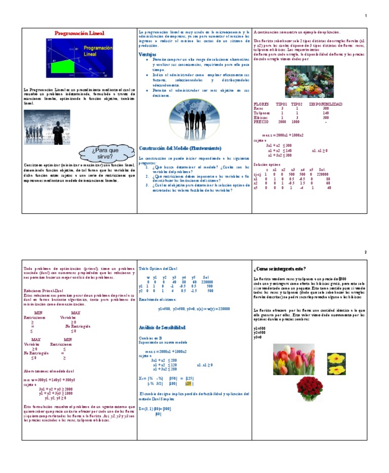 Triptico | PDF | Programación lineal | Algoritmos