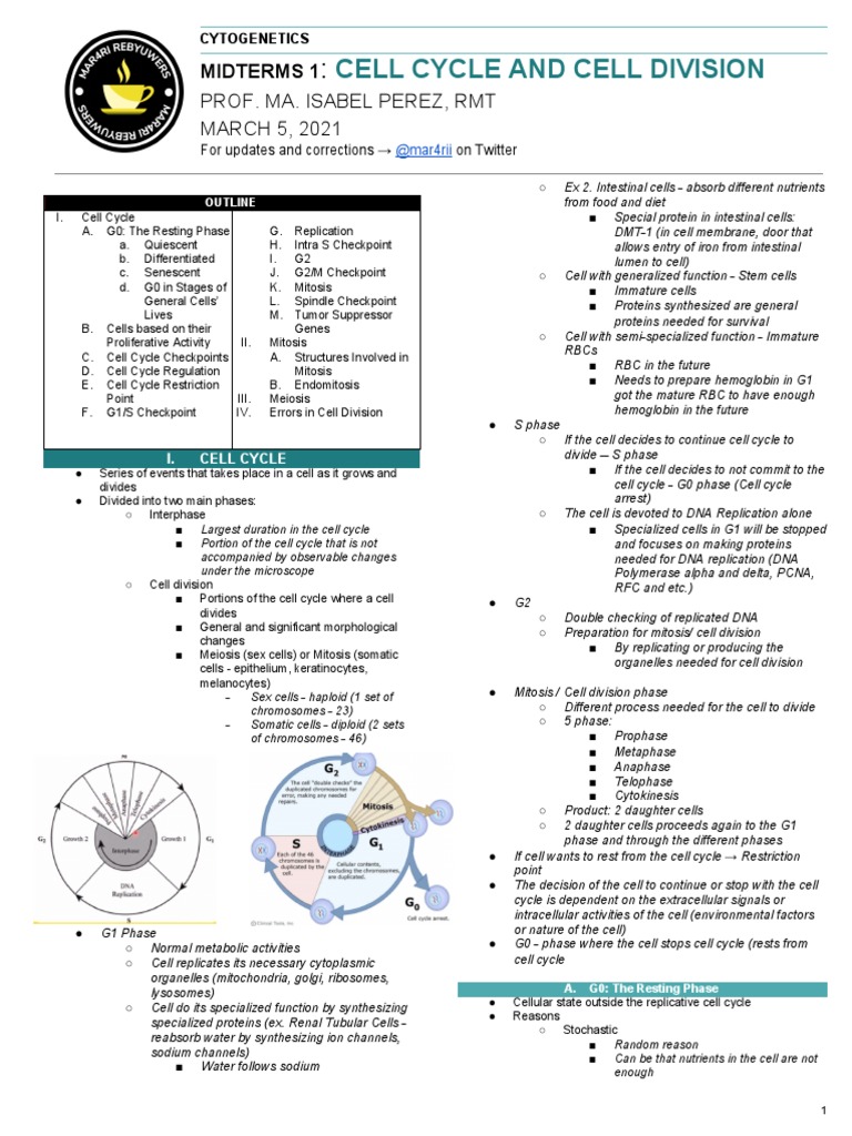 Cytogen MT 1 | Download Free PDF | Cell Cycle | Mitosis