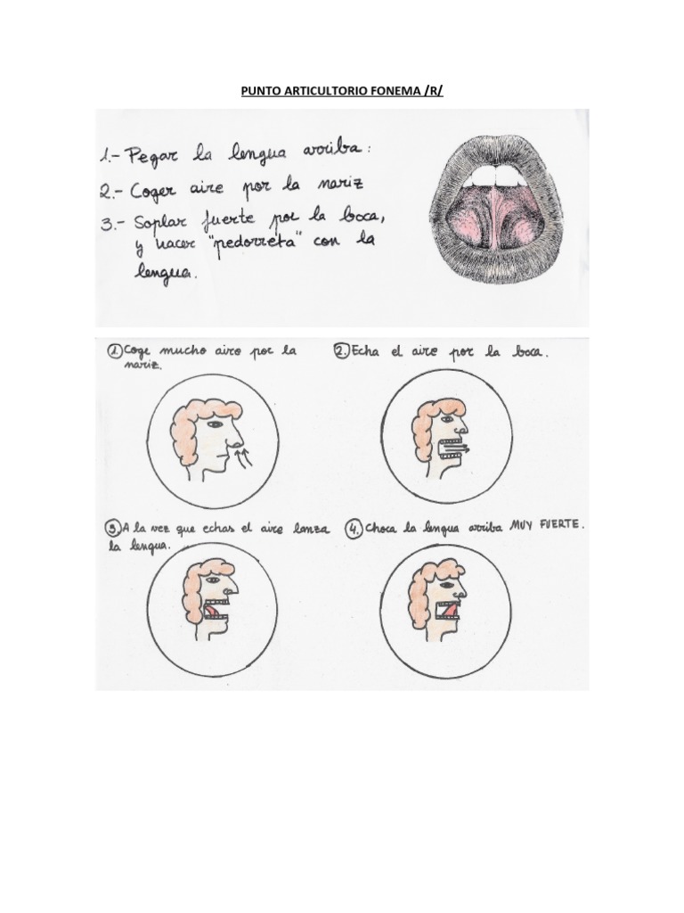 Punto Articulatorio del Fonema /R/ | PDF