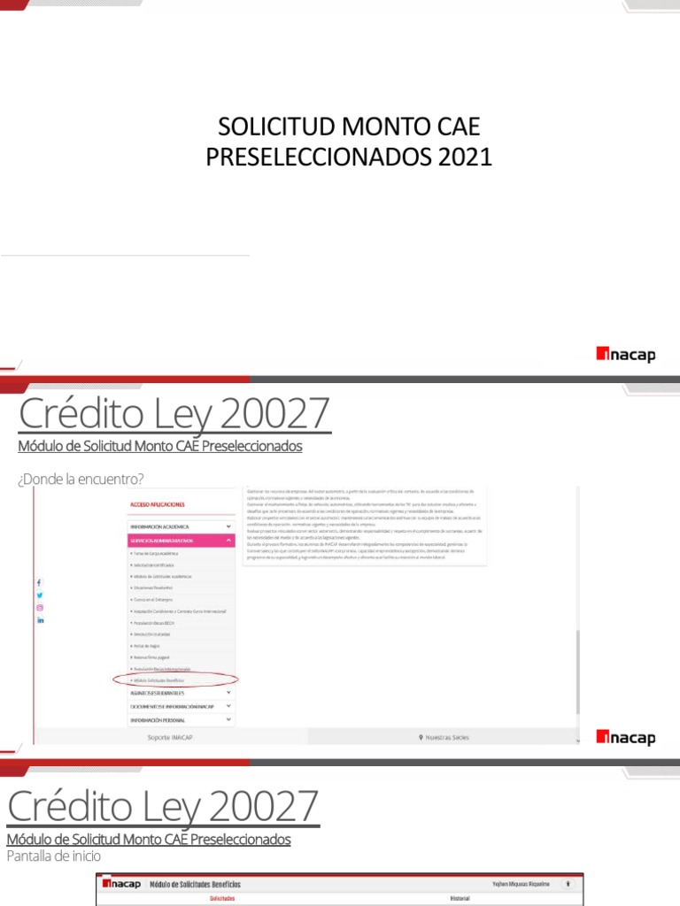 Ejemplo Plataforma Ficha CAE | PDF