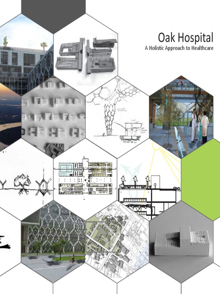 Thesis Book | PDF | Nature