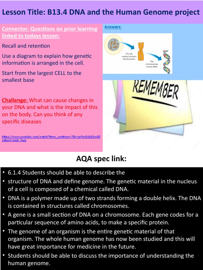 Lesson Title: B13.4 DNA and The Human Genome Project: Connector ...