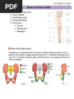 Palpation of Bony Landmarks | PDF | Anatomical Terms Of Location ...