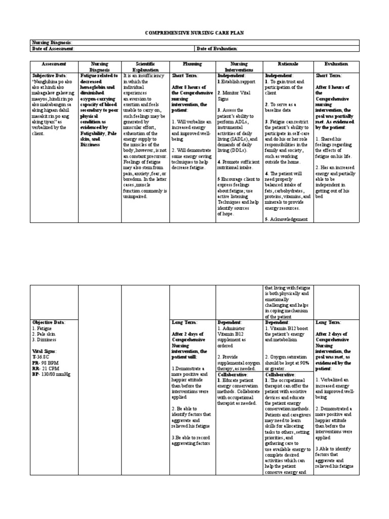 Format - Comprehensive Nursing Care Plan | PDF | Wellness | Science ...