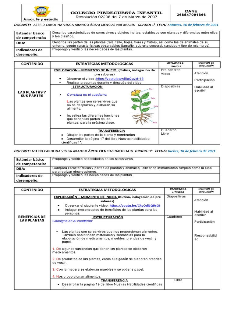 Actividades de Ciencias Naturales 1° Grado | PDF | Plantas | Organismos